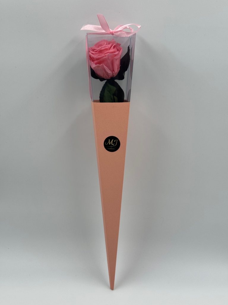 Eternal Rose Classic Pink with stem (Pink Triangular Packaging) - MJ ...